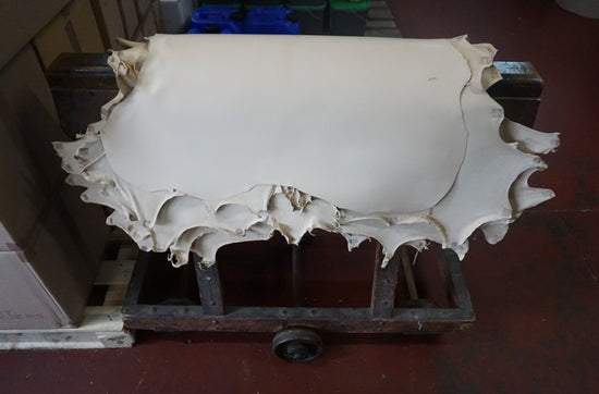 Our Story – Old Sovereign Publishing